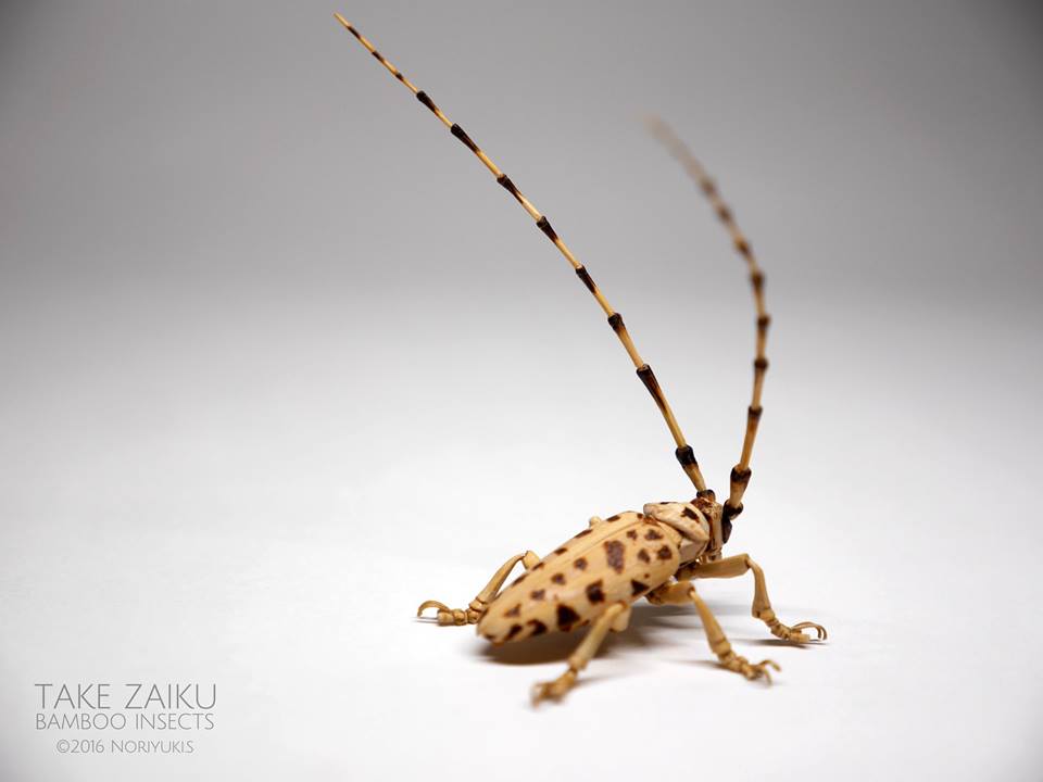 Japanese Artist Creates Incredibly Intricate Life-Size Insects From ...