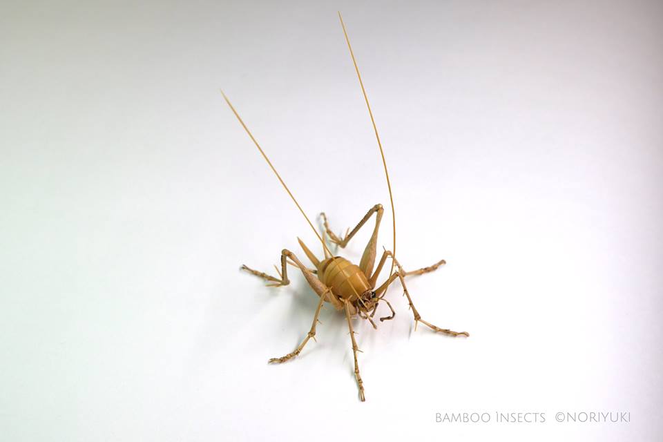 Japanese Artist Creates Incredibly Intricate Life-Size Insects From ...