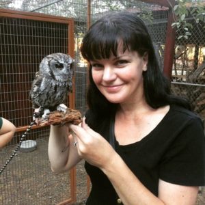 This is Zeus, The Blind Owl with Stars in his Eyes - PlayJunkie