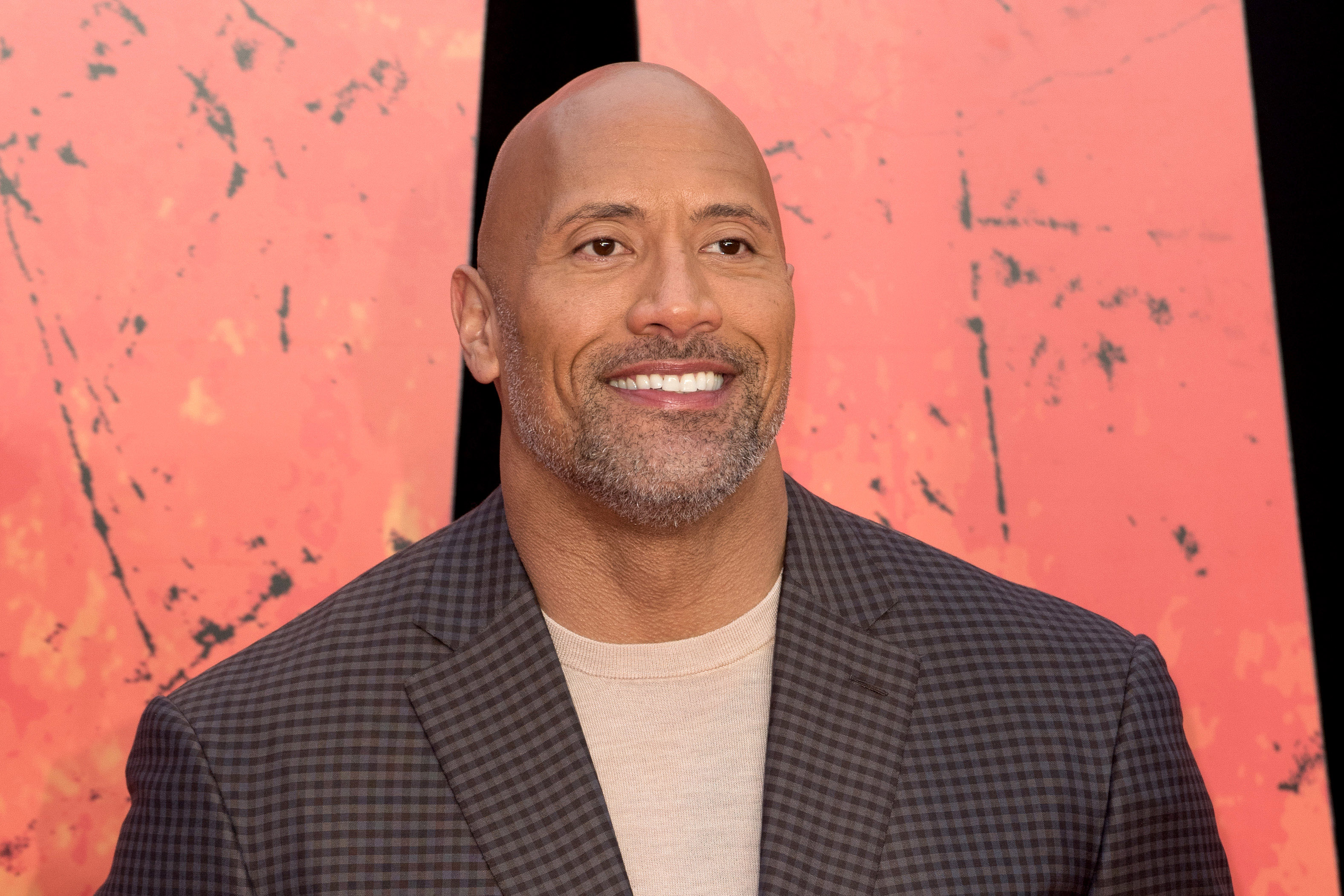 Find out Which Celebrity Has the Best Chocolate Chip Cookie Recipe ...