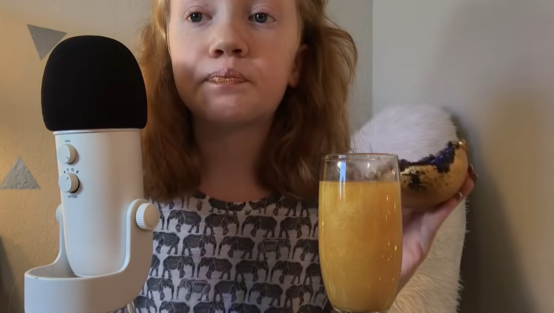 13-Year-Old Girl Makes Hilarious ASMR Videos - PlayJunkie
