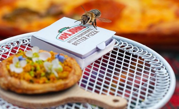 Papa John’s Creates World’s First Pizza For Bees - PlayJunkie