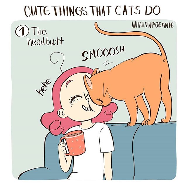 Beanie’s Comics are All About Cats and Dogs - PlayJunkie