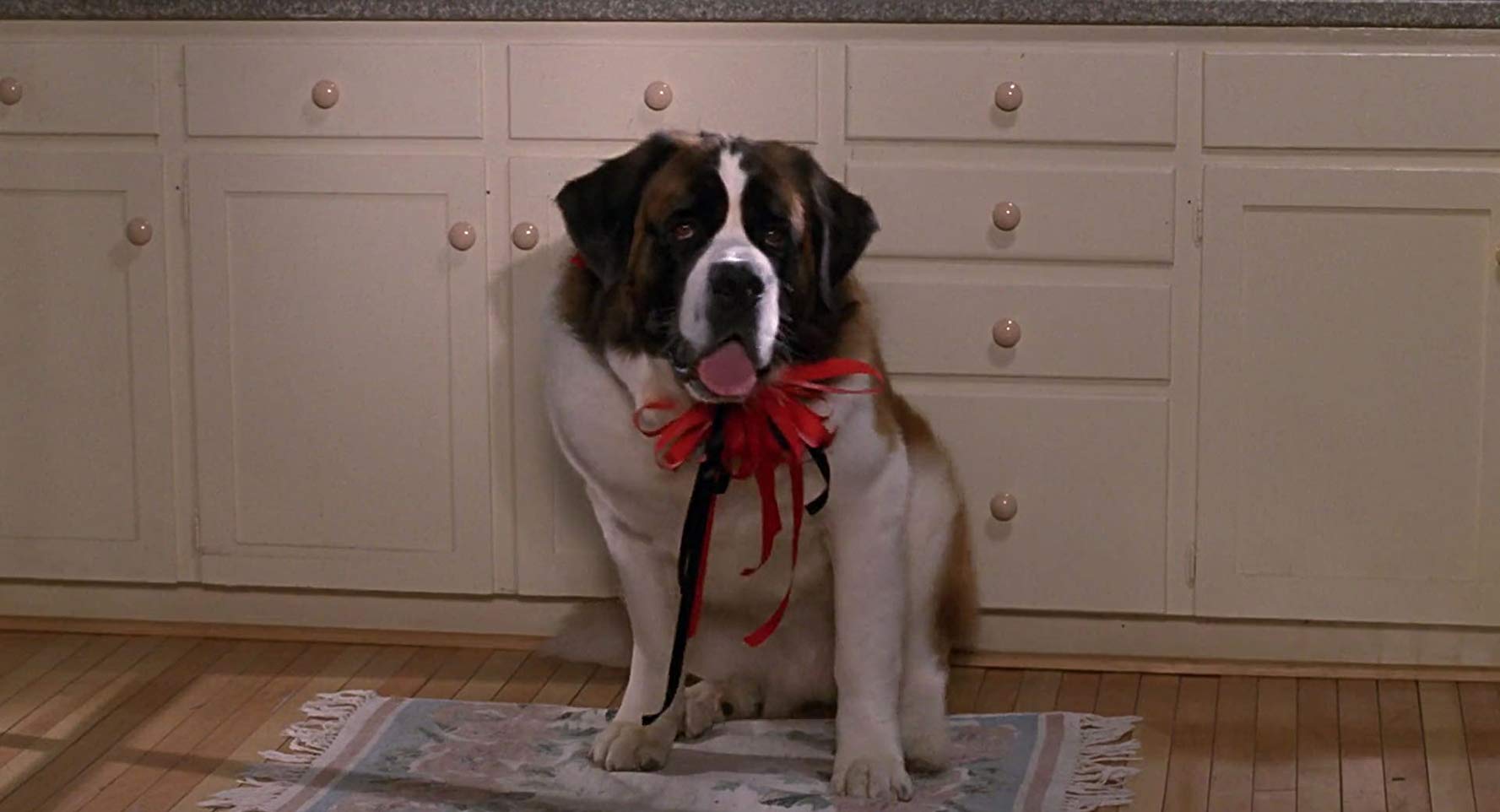 Nostalgic Animal Films to Enjoy This Holiday Season - PlayJunkie