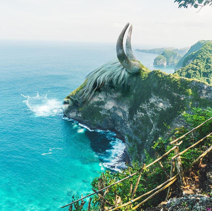 Digital Artist Turns Nature's Images Into Animals - PlayJunkie