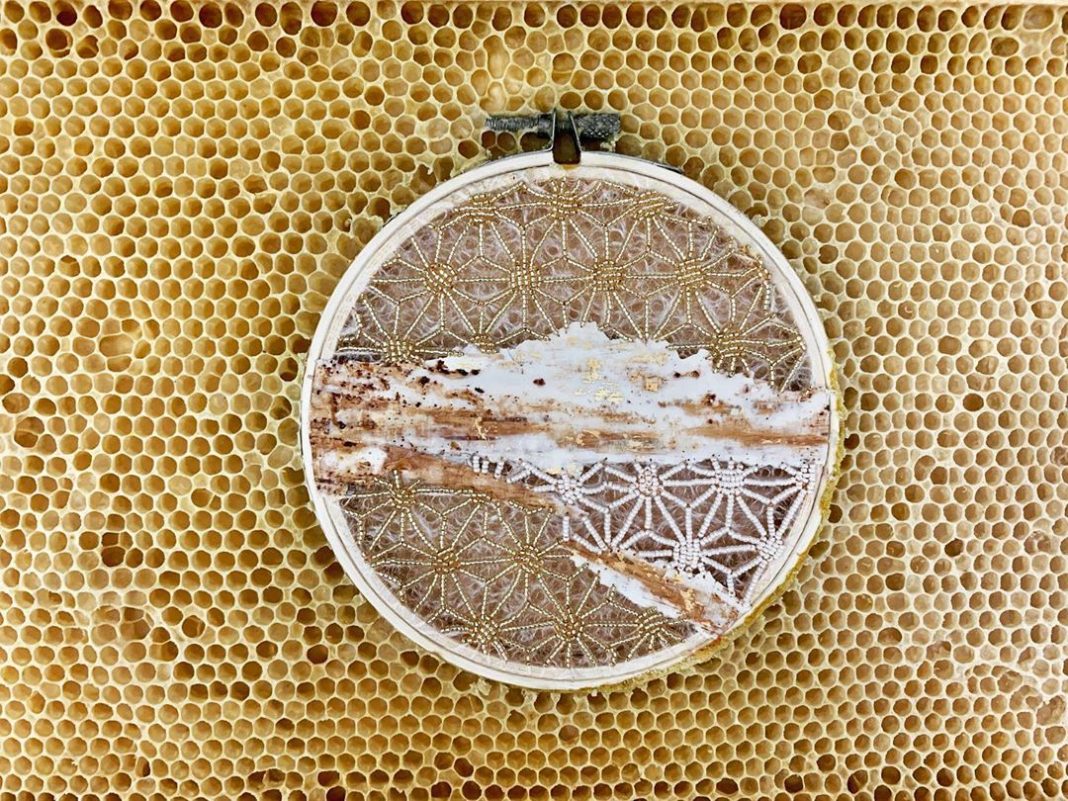 Ava Roth Creates Art With Honey Bees - PlayJunkie