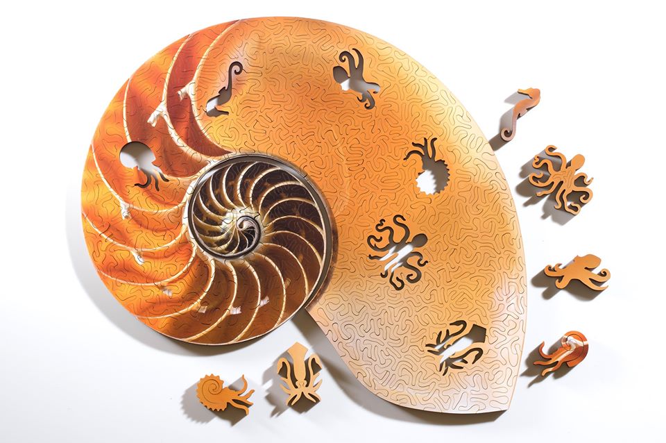 Check these Cool Spiral Jigsaw Puzzles Inspired by Nautilus and ...