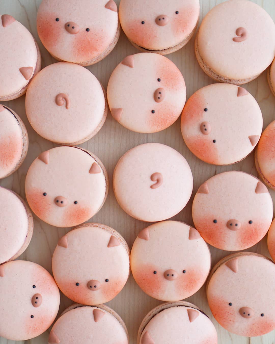 Toronto Baker is Creating Most Adorable Animal Macarons You’ll Ever See