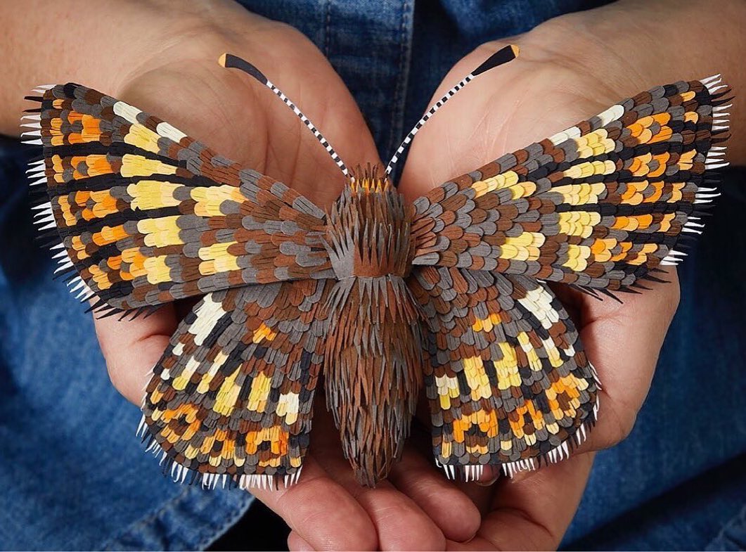 Lisa Lloyd Creates Amazing Birds and Butterflies From Paper - PlayJunkie