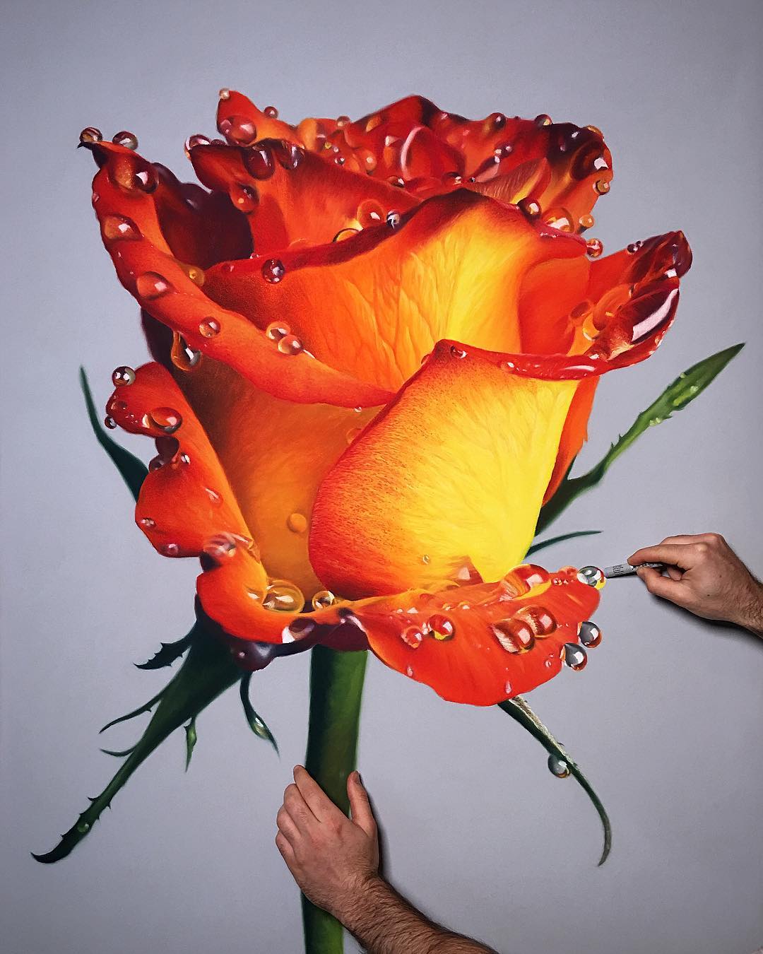 This Artist Draws Incredibly Realistics Flowers - PlayJunkie