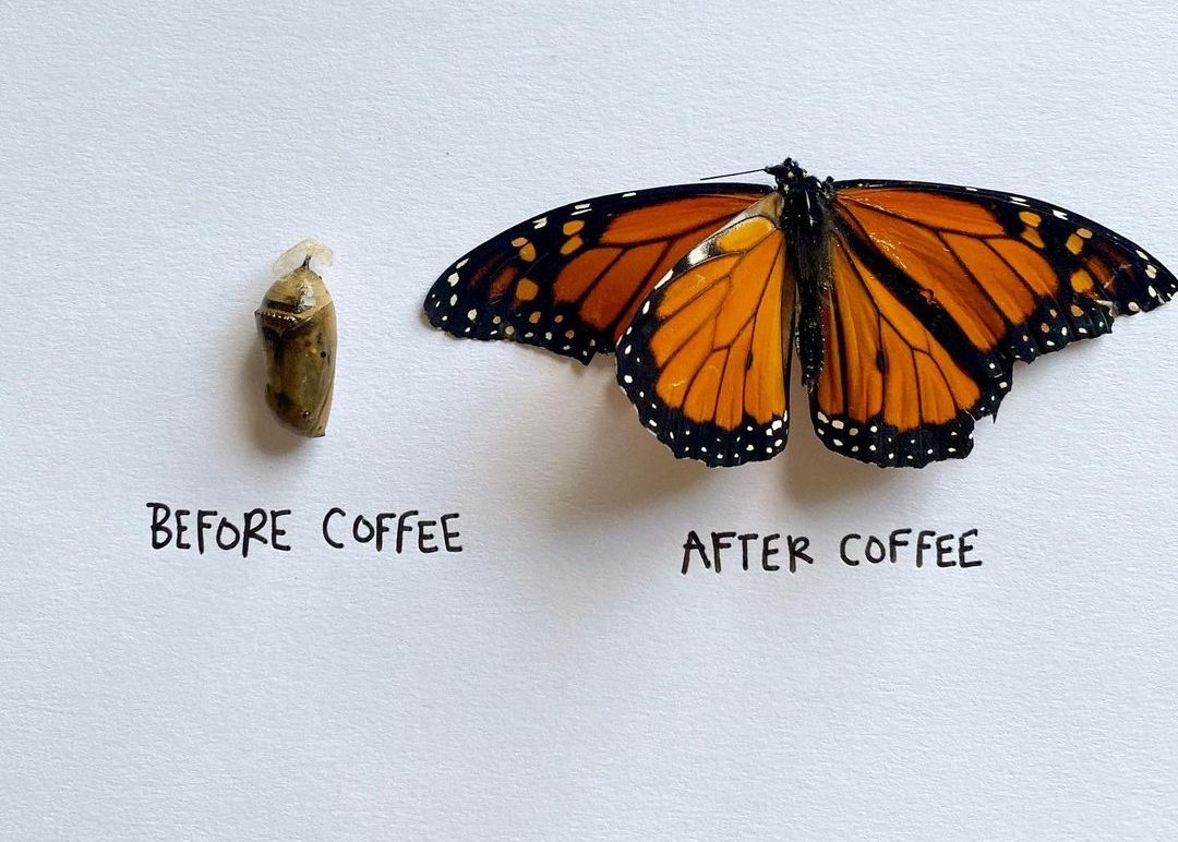 Ali Beckman Creates Entertaining Illustrations Using Real Insects ...