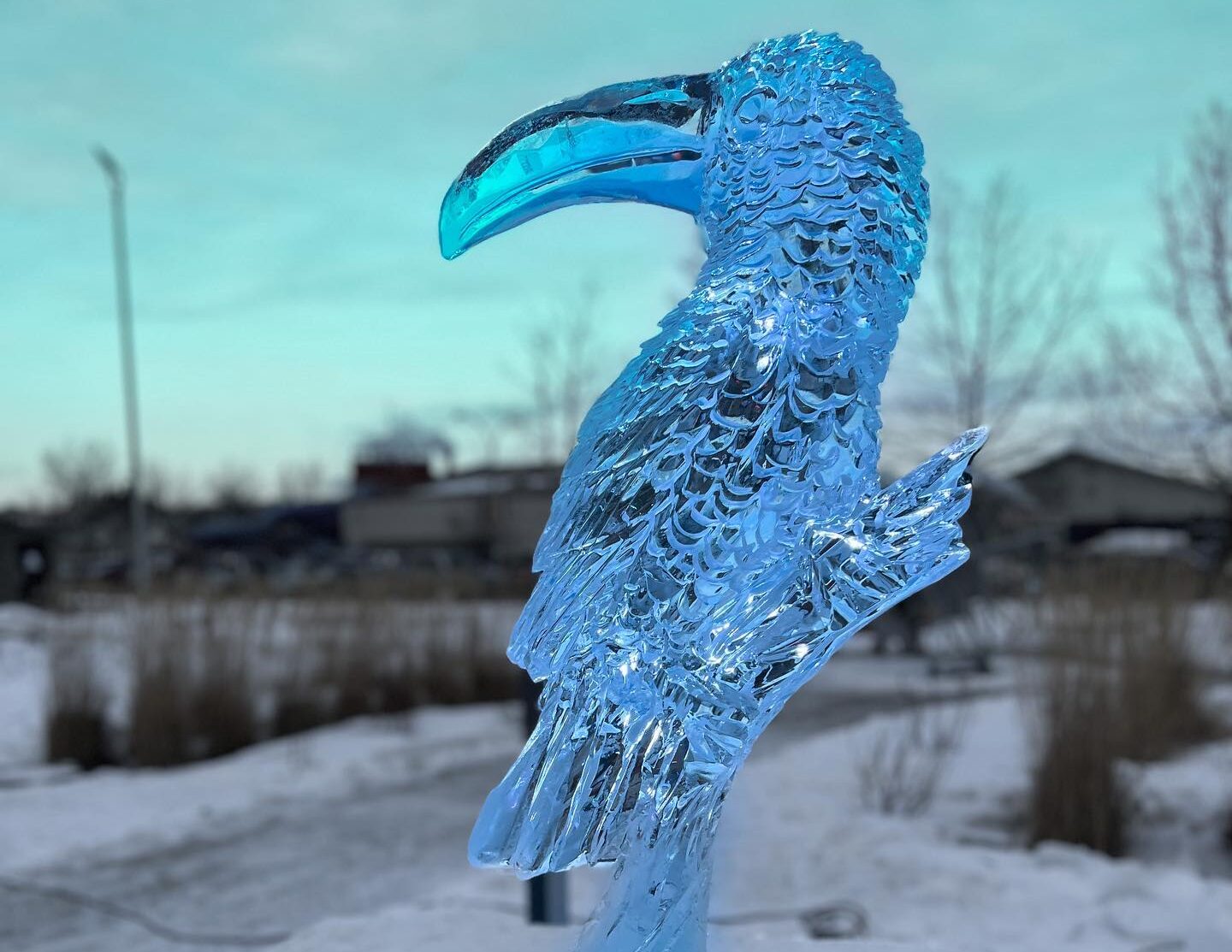 Watch an Artist Carve a Toucan Out of a Single Block of Ice in 2 Hours ...